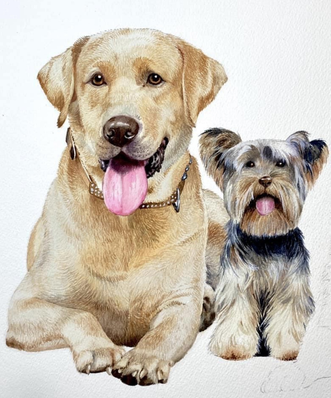 parfumdeviolette - Page 474