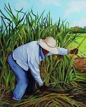 parfumdeviolette - Page 209